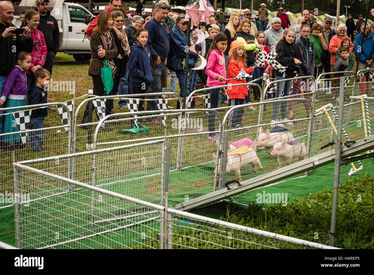 Lampeter Strasburg country fair Stock Photo - Alamy