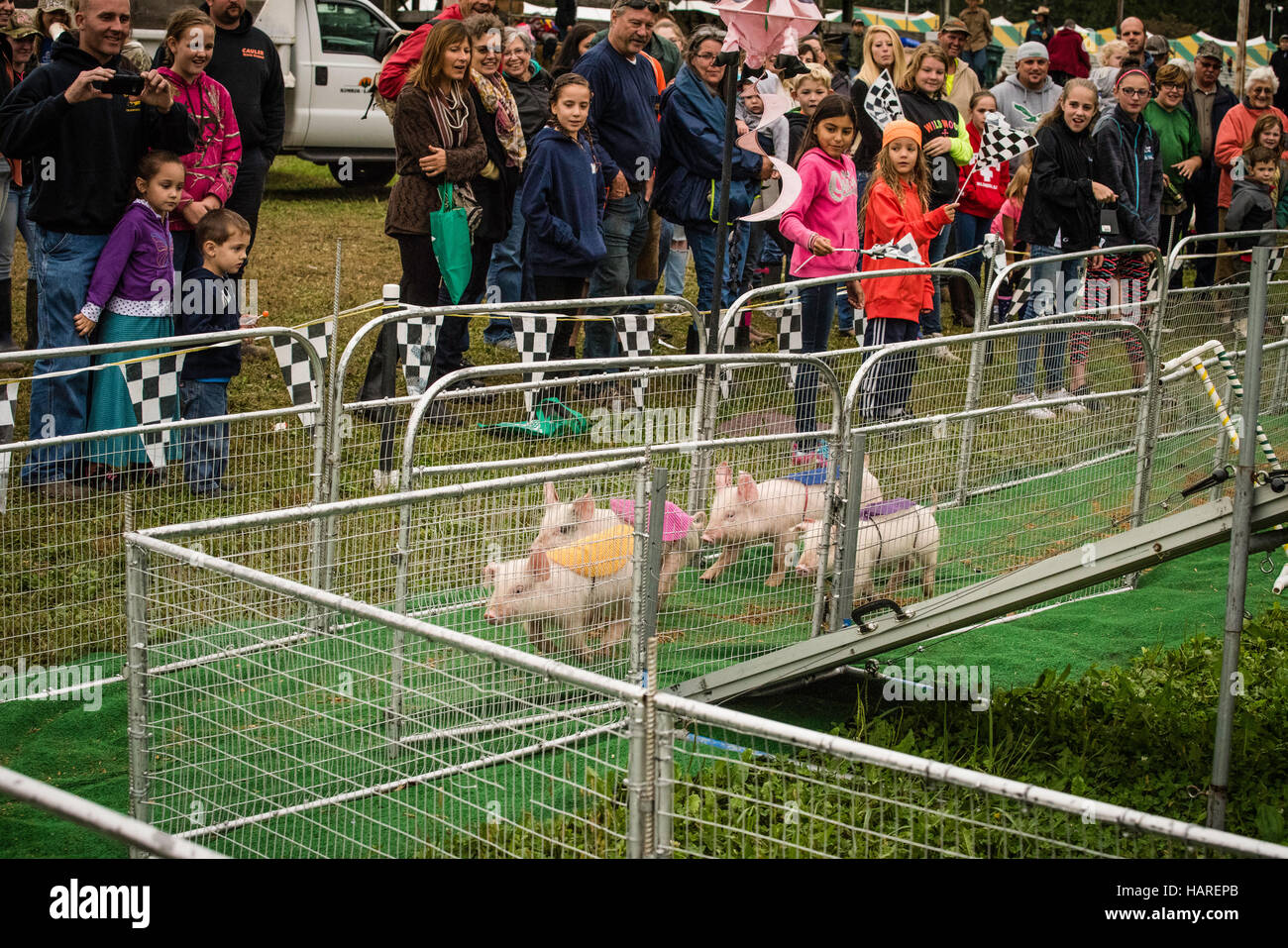 Lampeter show hi-res stock photography and images - Alamy