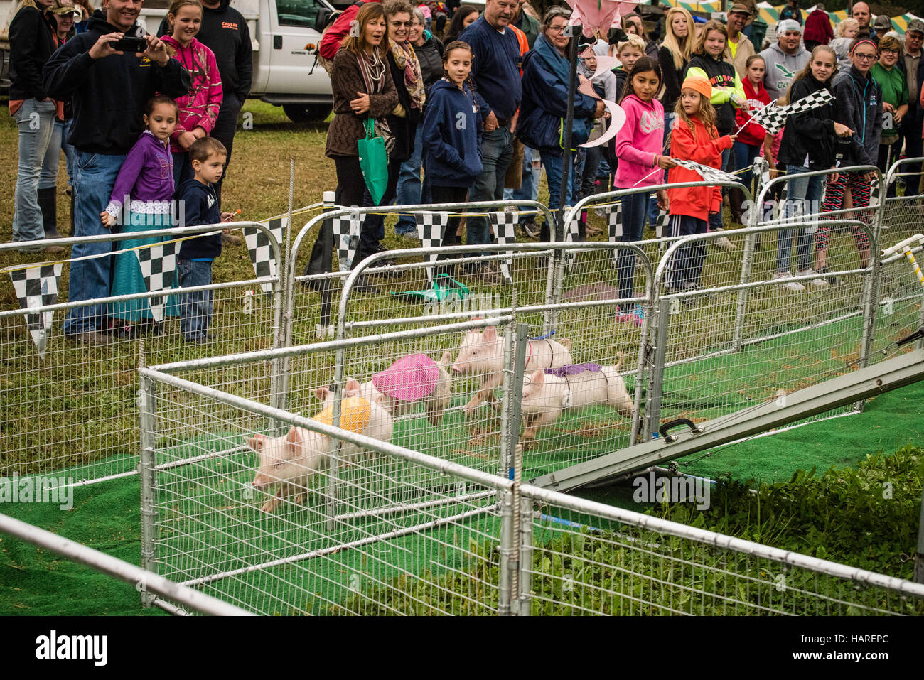 Lampeter Strasburg country fair Stock Photo - Alamy