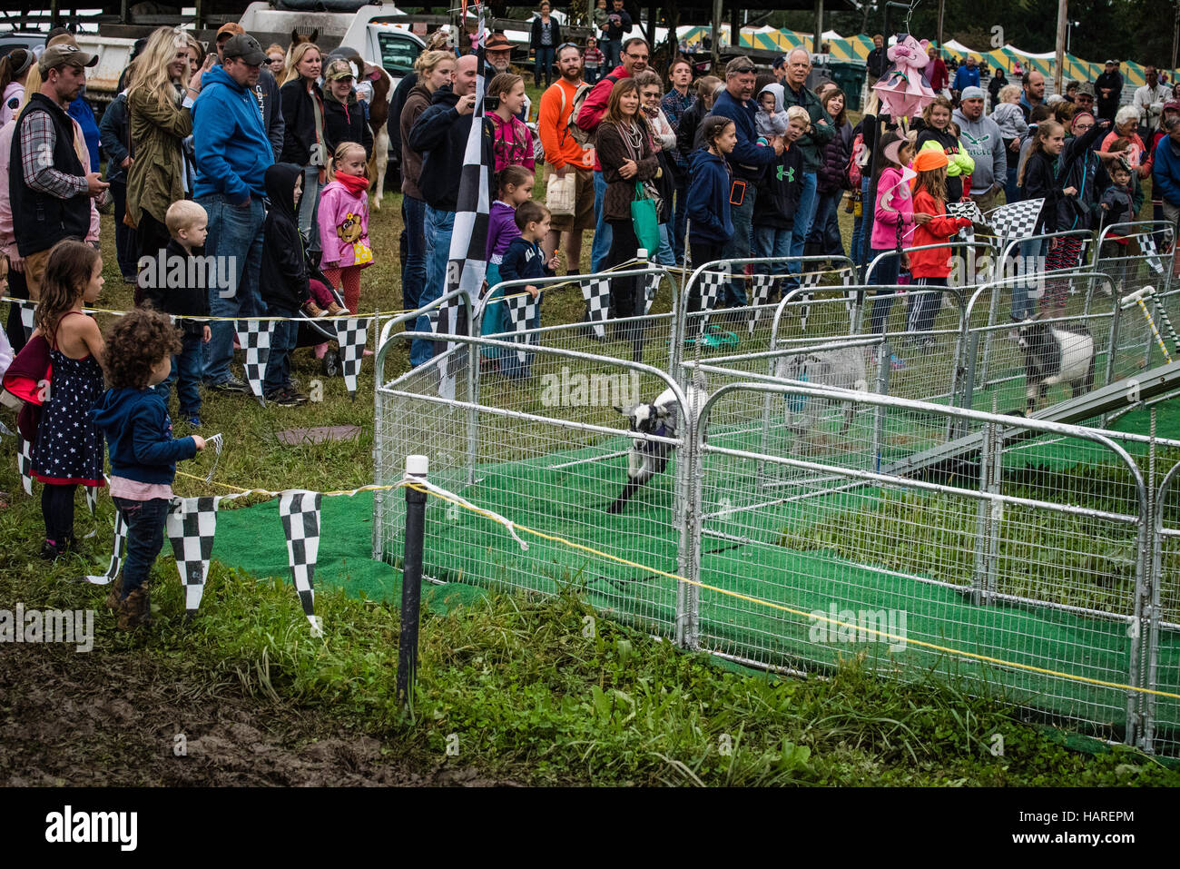 Lampeter Strasburg country fair Stock Photo - Alamy