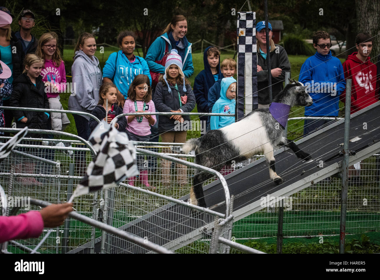 Lampeter show hi-res stock photography and images - Alamy