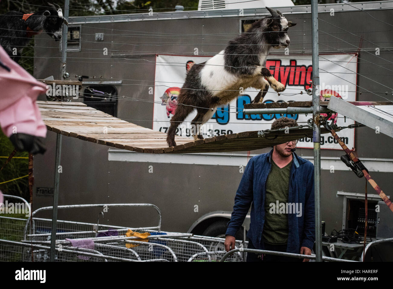 Lampeter Strasburg country fair Stock Photo - Alamy
