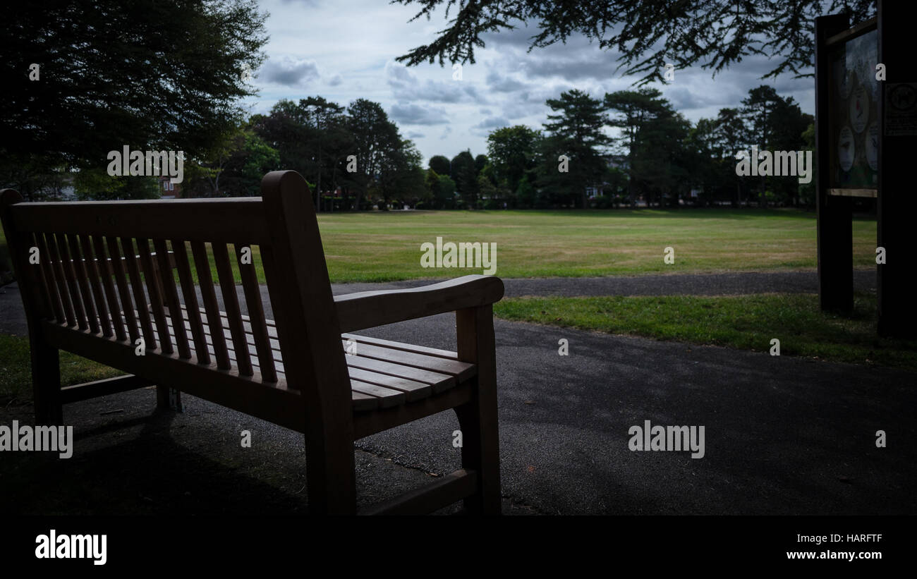 quiet bench in park under tree cover Stock Photo - Alamy
