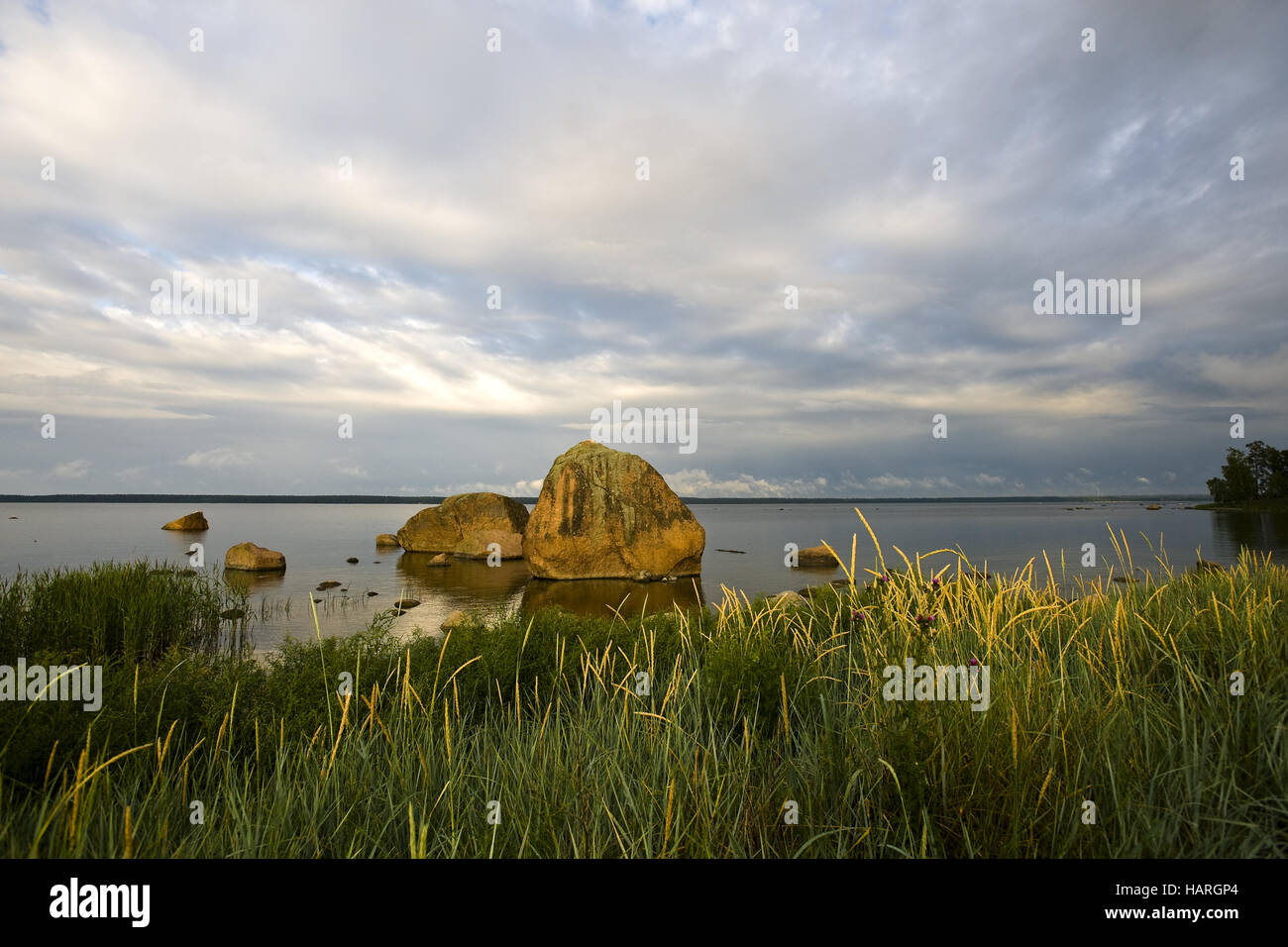 Estonia, Baltic States Stock Photo - Alamy
