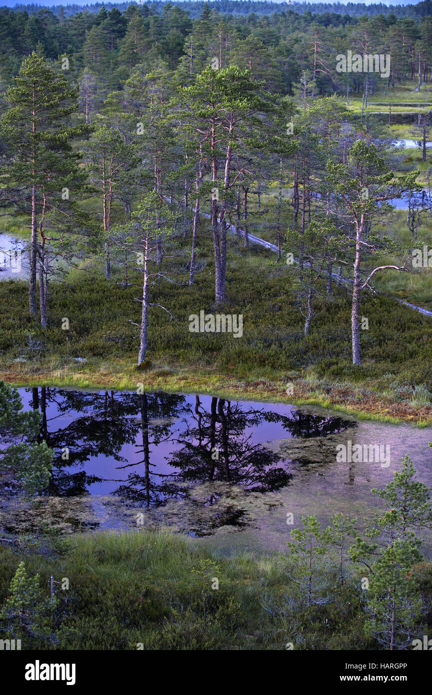Estonia, Baltic States Stock Photo - Alamy