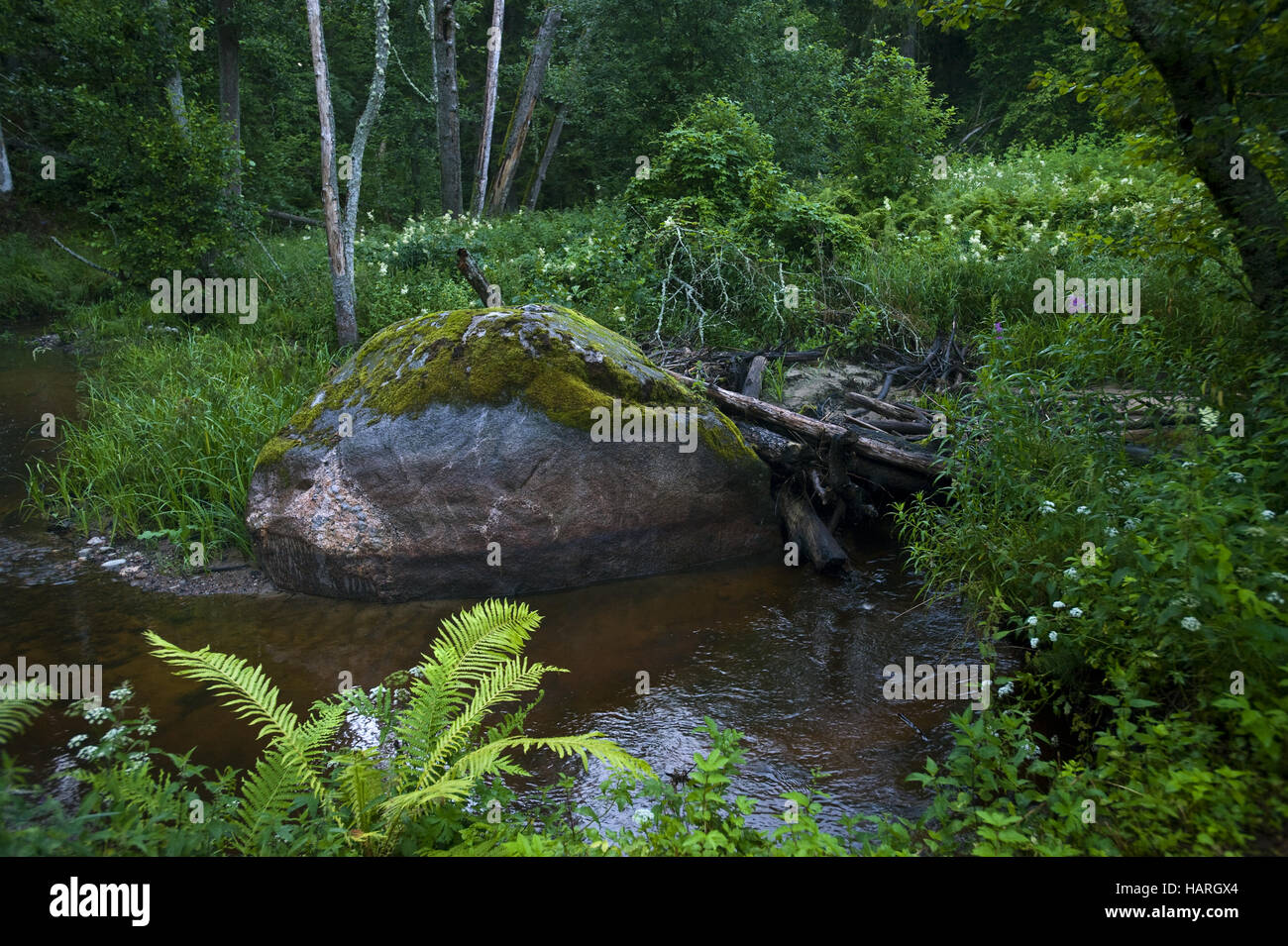 Estonia, Baltic States Stock Photo - Alamy