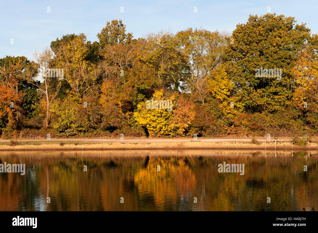 Autumn, Fall colours colors in Haysden Country Park, Kent, UK Stock ...
