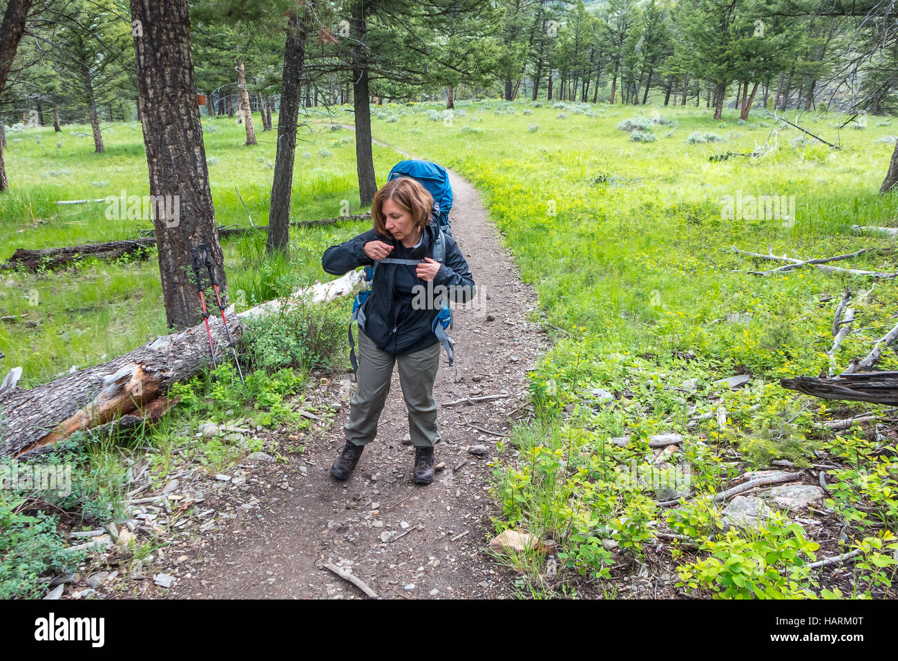 Hikers making their way through the wilderness on the Hellroaring Creek ...
