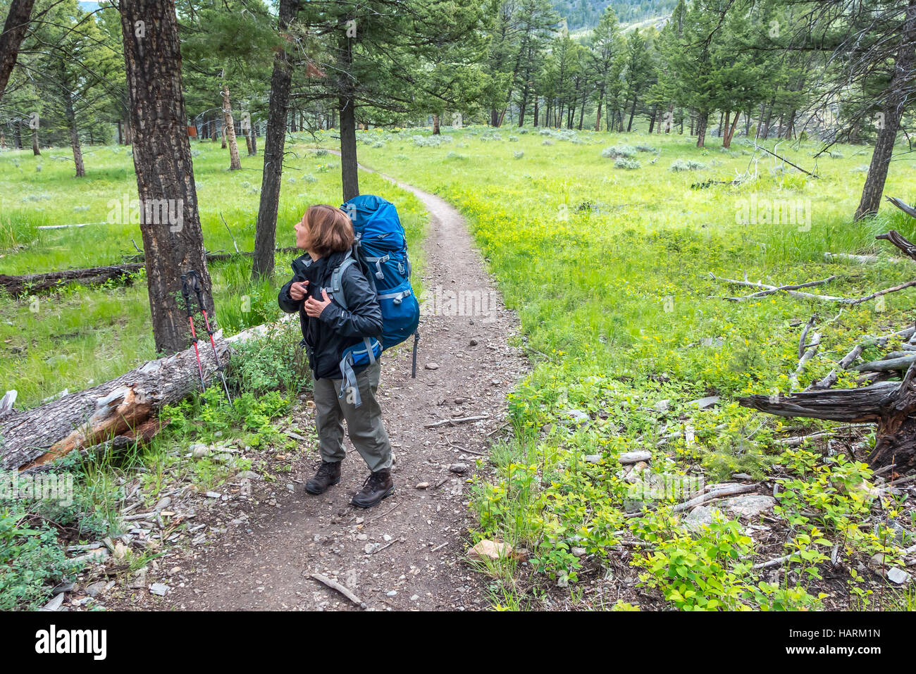 Hellroaring Creek Trail High Resolution Stock Photography and Images ...