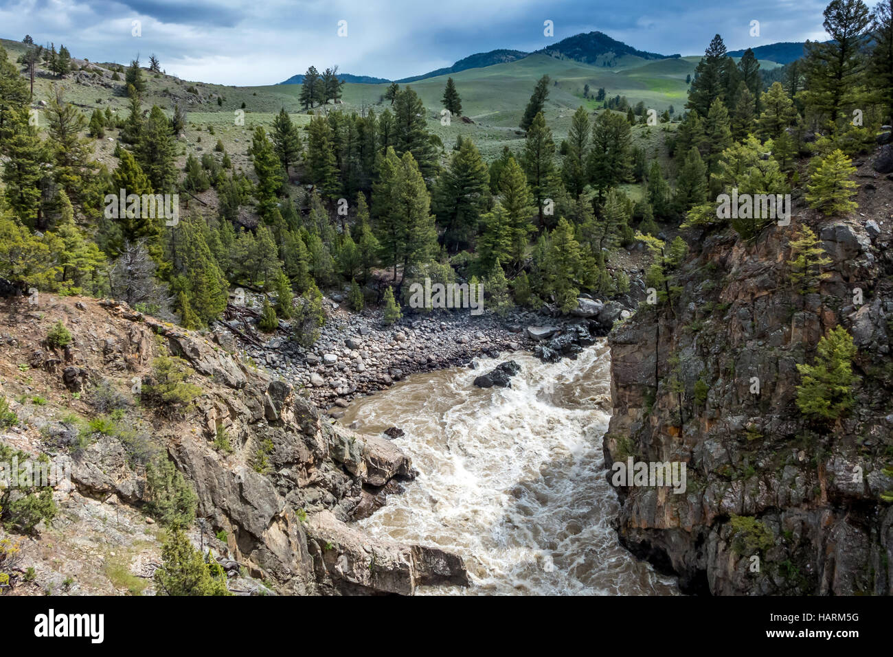 Wilderness on the Hellroaring Creek Nature Trail in Yellowstone ...