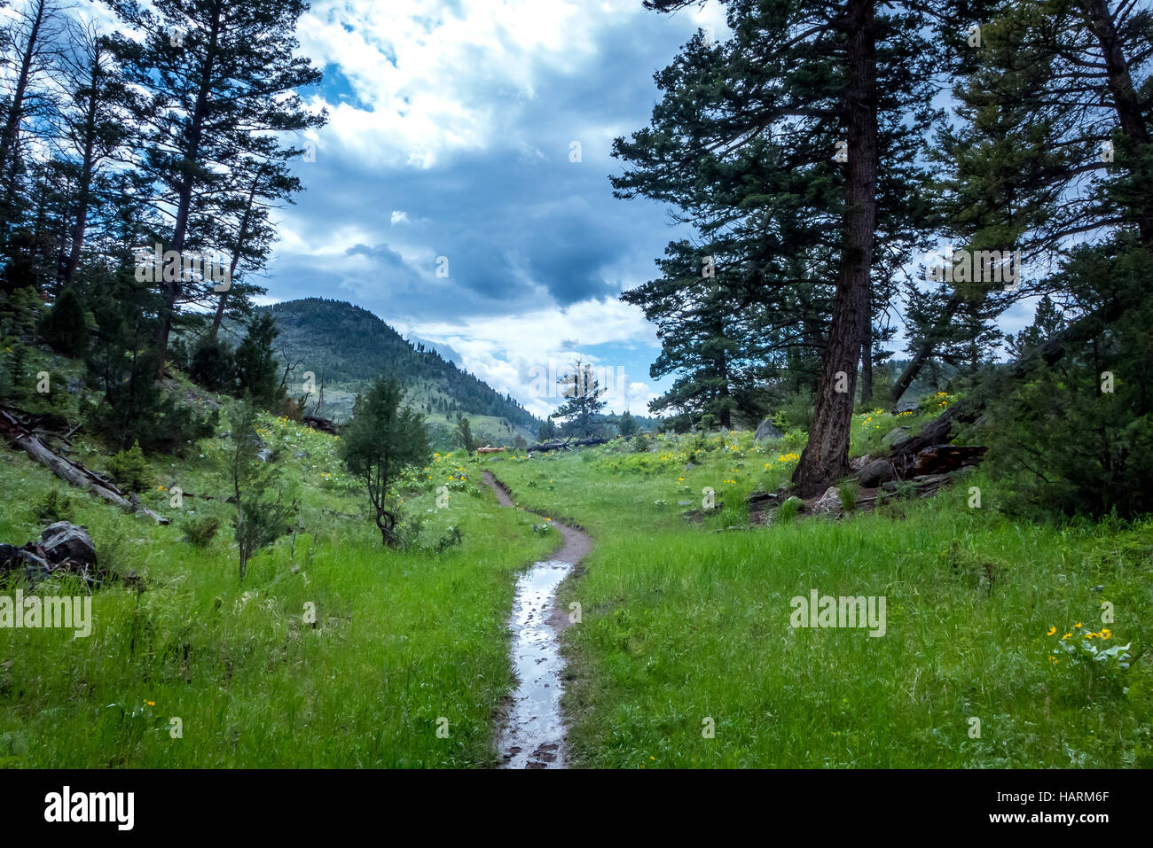 Hellroaring Creek Trail High Resolution Stock Photography and Images ...