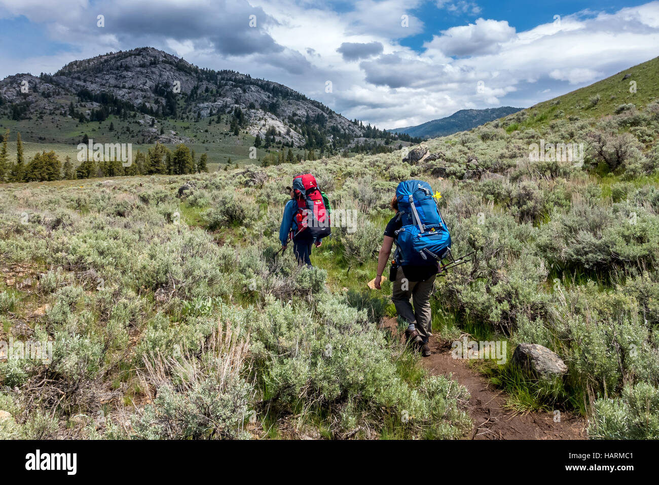 Hikers making their way through the wilderness on the Hellroaring Creek ...