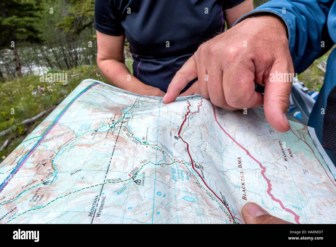 Hikers checking their map route in Yellowstone National Park Stock ...
