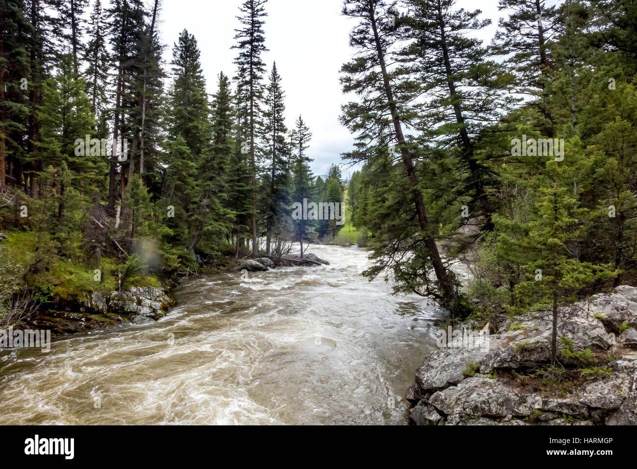 Hellroaring Creek Trail High Resolution Stock Photography and Images ...