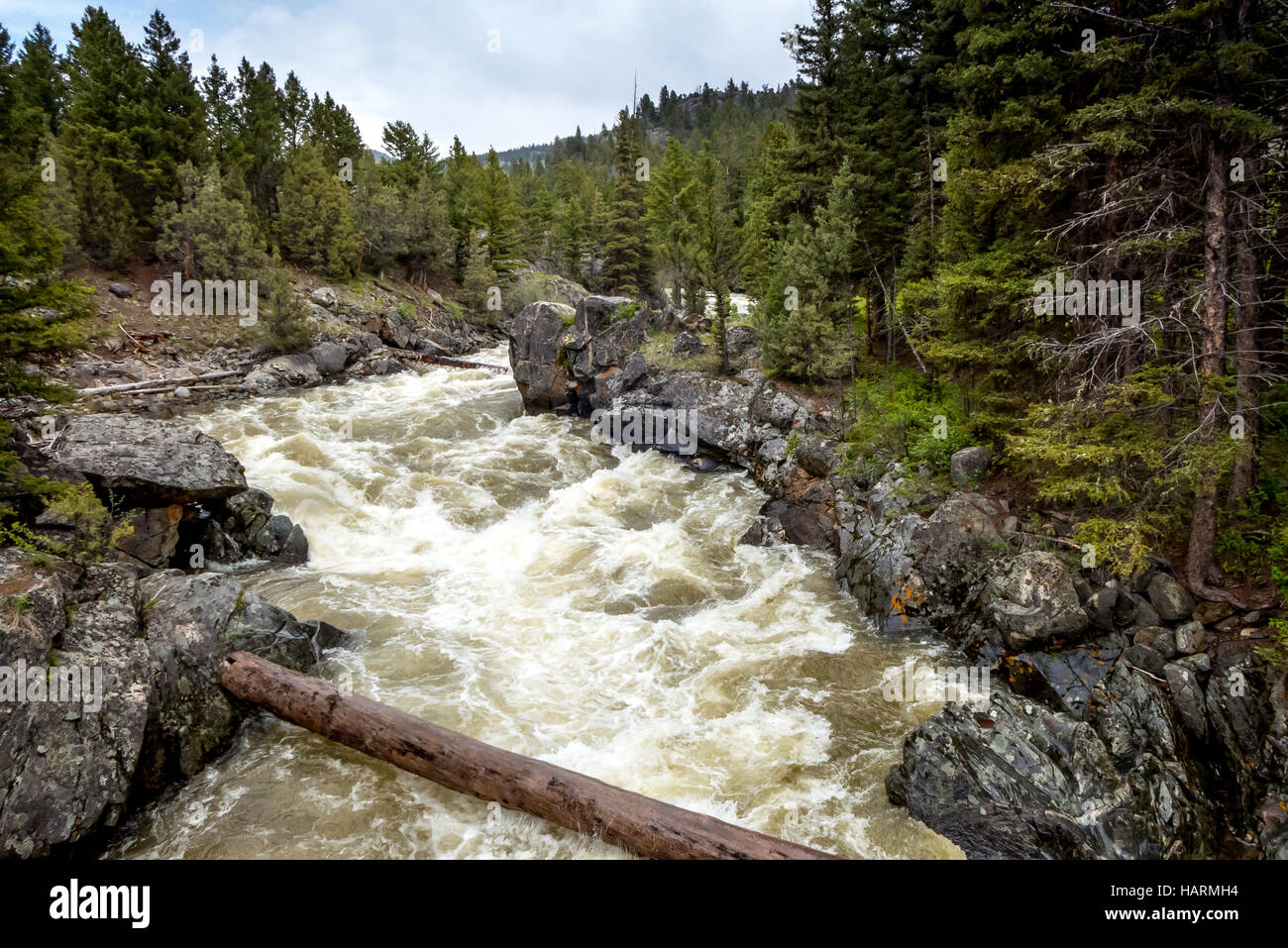 A river on the Hellroaring Creek Nature Trail in the Yellowstone ...