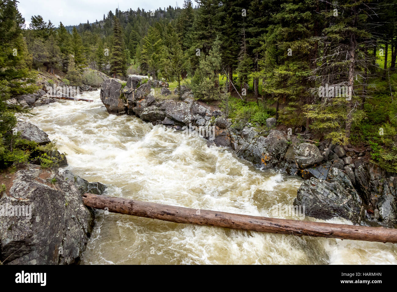 A river on the Hellroaring Creek Nature Trail in the Yellowstone ...