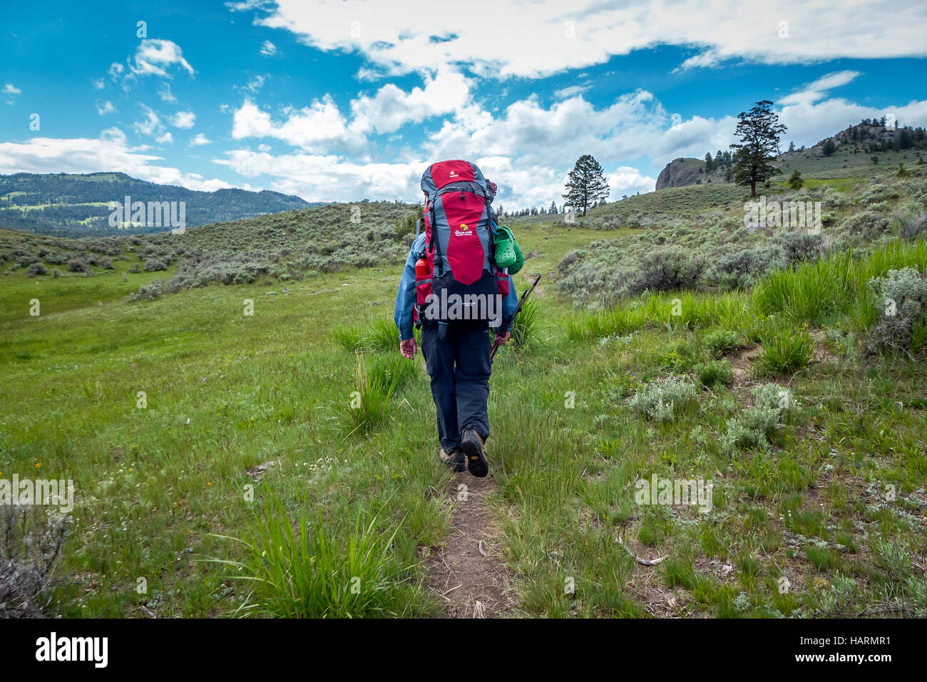 Hikers making their way through the wilderness on the Hellroaring Creek ...