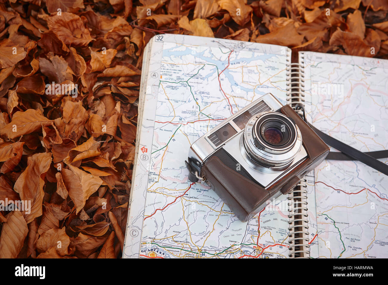 Still life in the autumn forest with camera and map. Horizontal Stock ...
