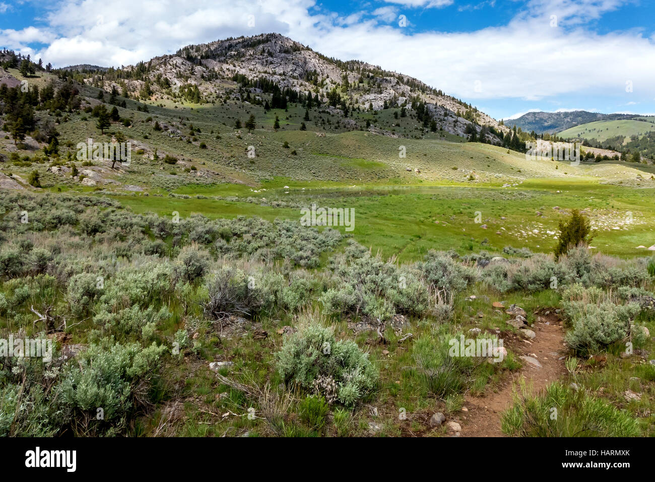 Hellroaring Creek Trail High Resolution Stock Photography and Images ...