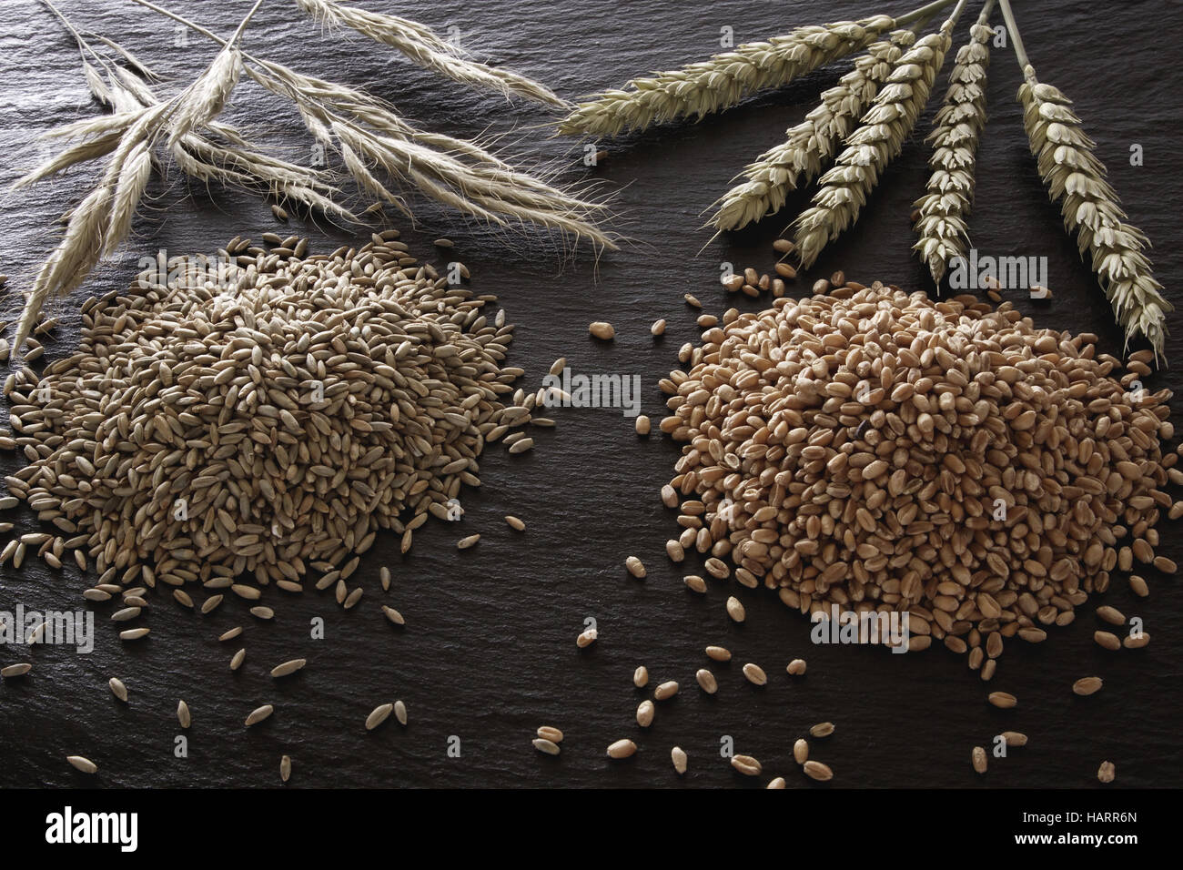 Cerea grain hi-res stock photography and images - Alamy