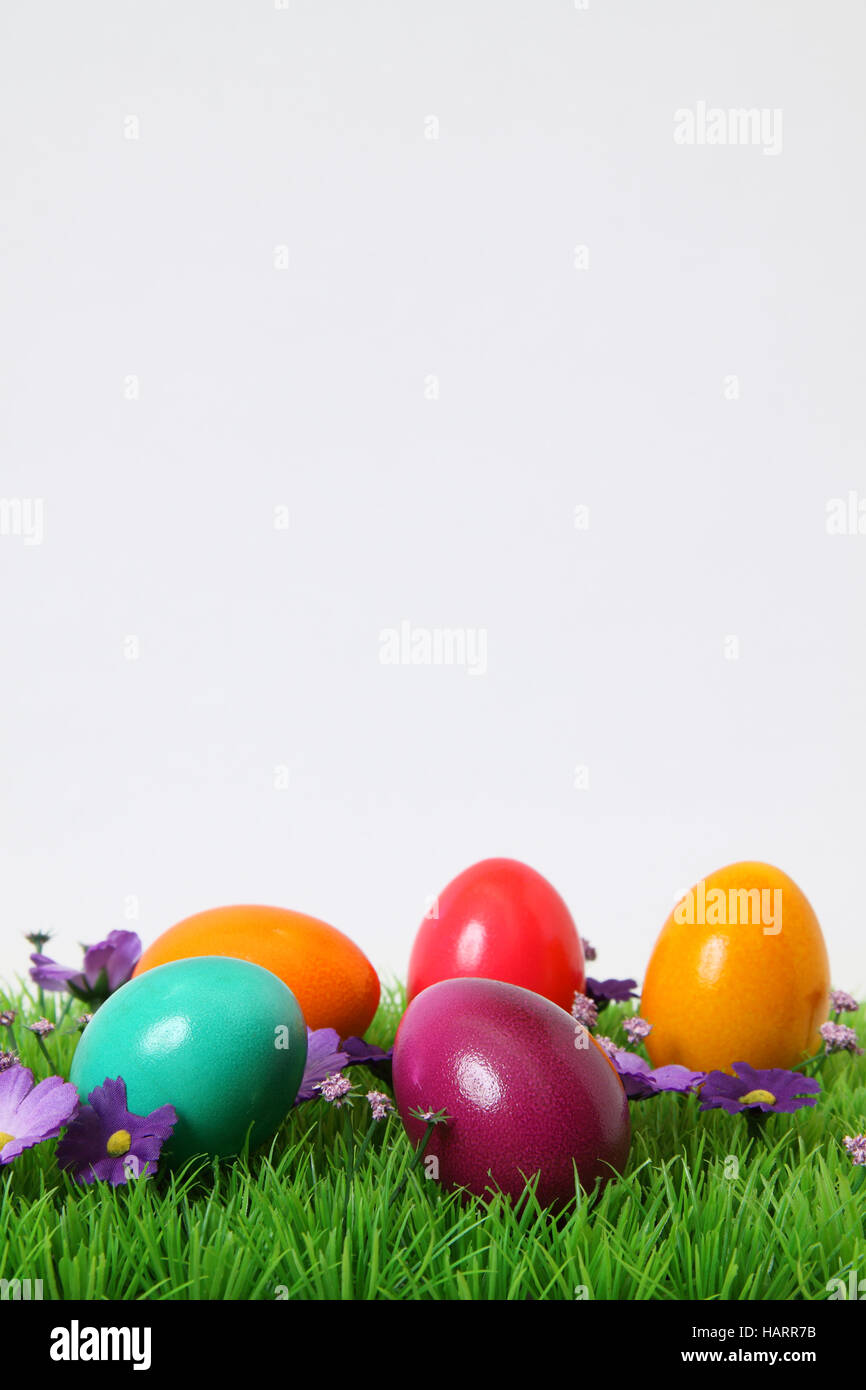 Bunte eierbecher hi-res stock photography and images - Alamy