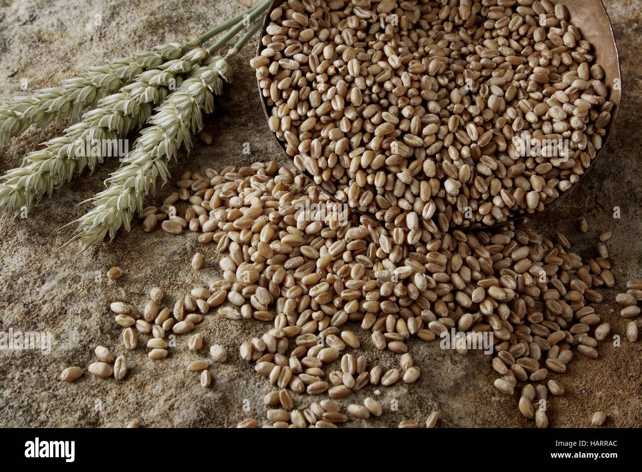 Weizenkoerner hi-res stock photography and images - Alamy