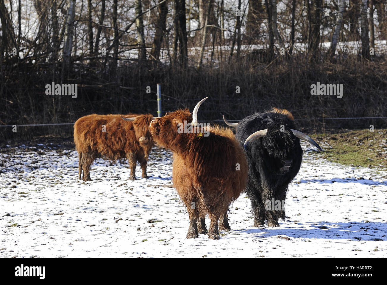 Gesicht kalt hi-res stock photography and images - Alamy