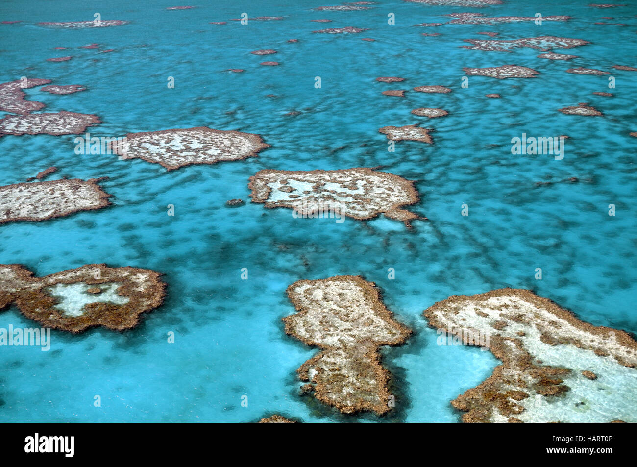 Great Barrier Reef, Australien Stock Photo - Alamy
