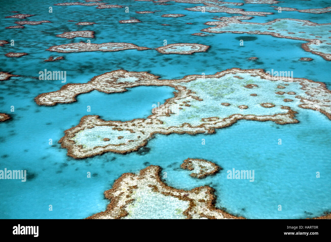 Great Barrier Reef, Australien Stock Photo - Alamy