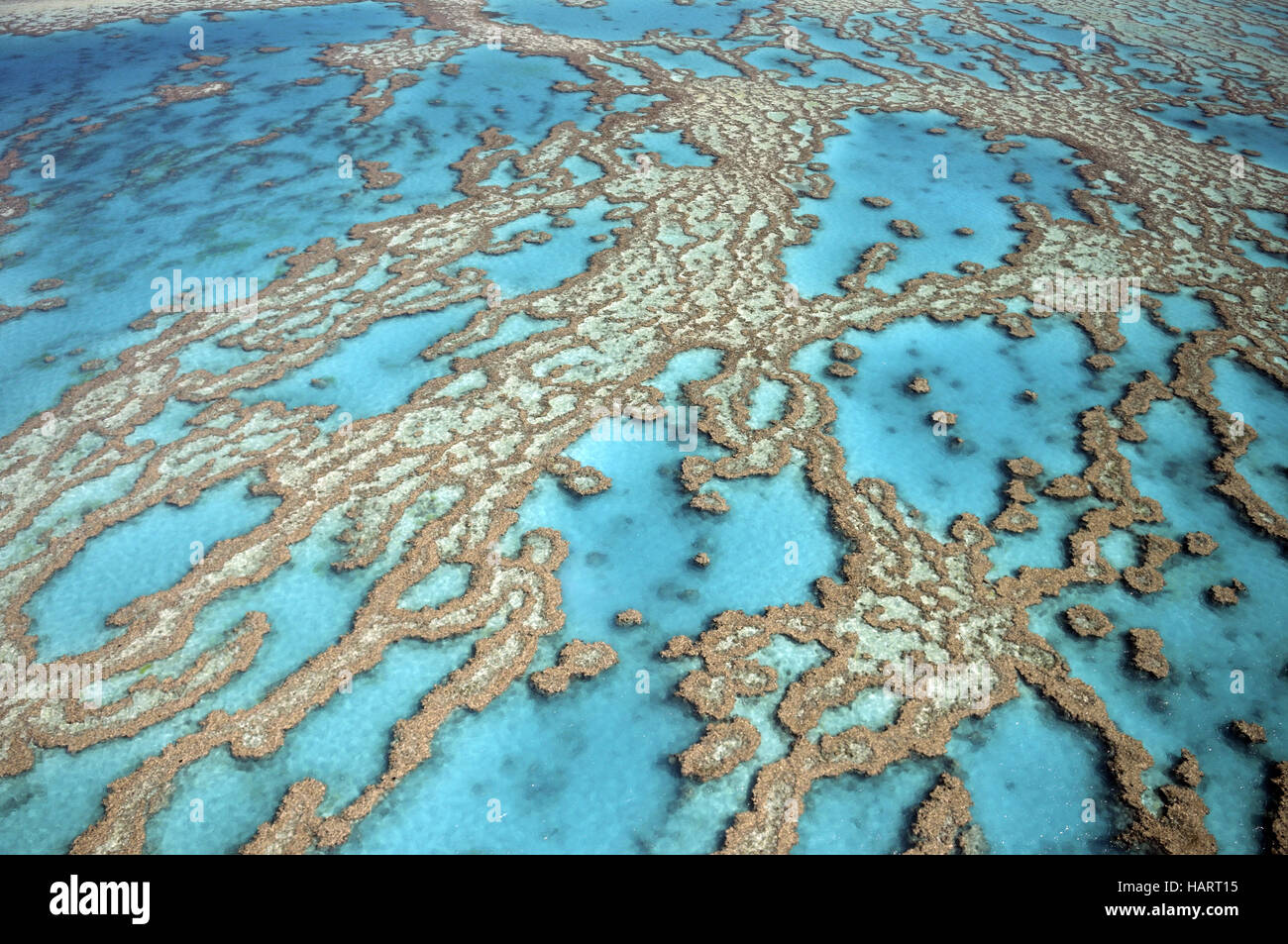 Great Barrier Reef, Australien Stock Photo - Alamy