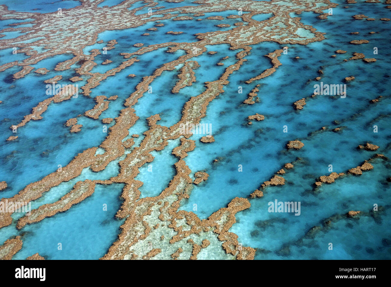 Great Barrier Reef, Australien Stock Photo - Alamy