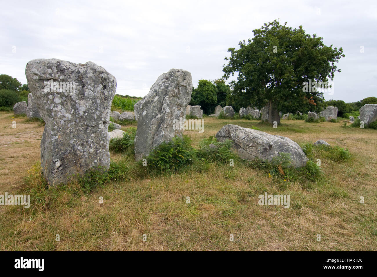 Erdeven hi-res stock photography and images - Alamy