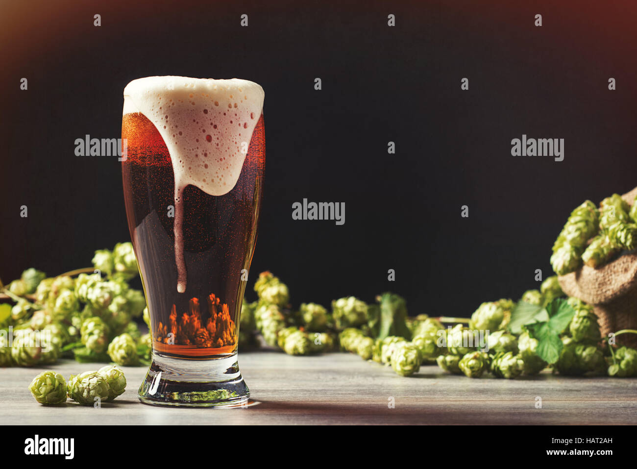 Frothy beer with hops in the background - plenty of copy space for text ...
