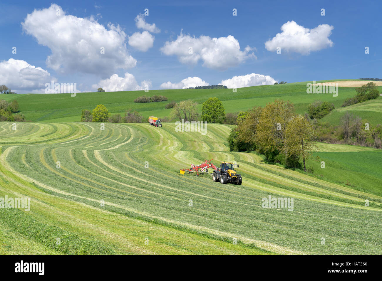 Fodder High Resolution Stock Photography and Images - Alamy