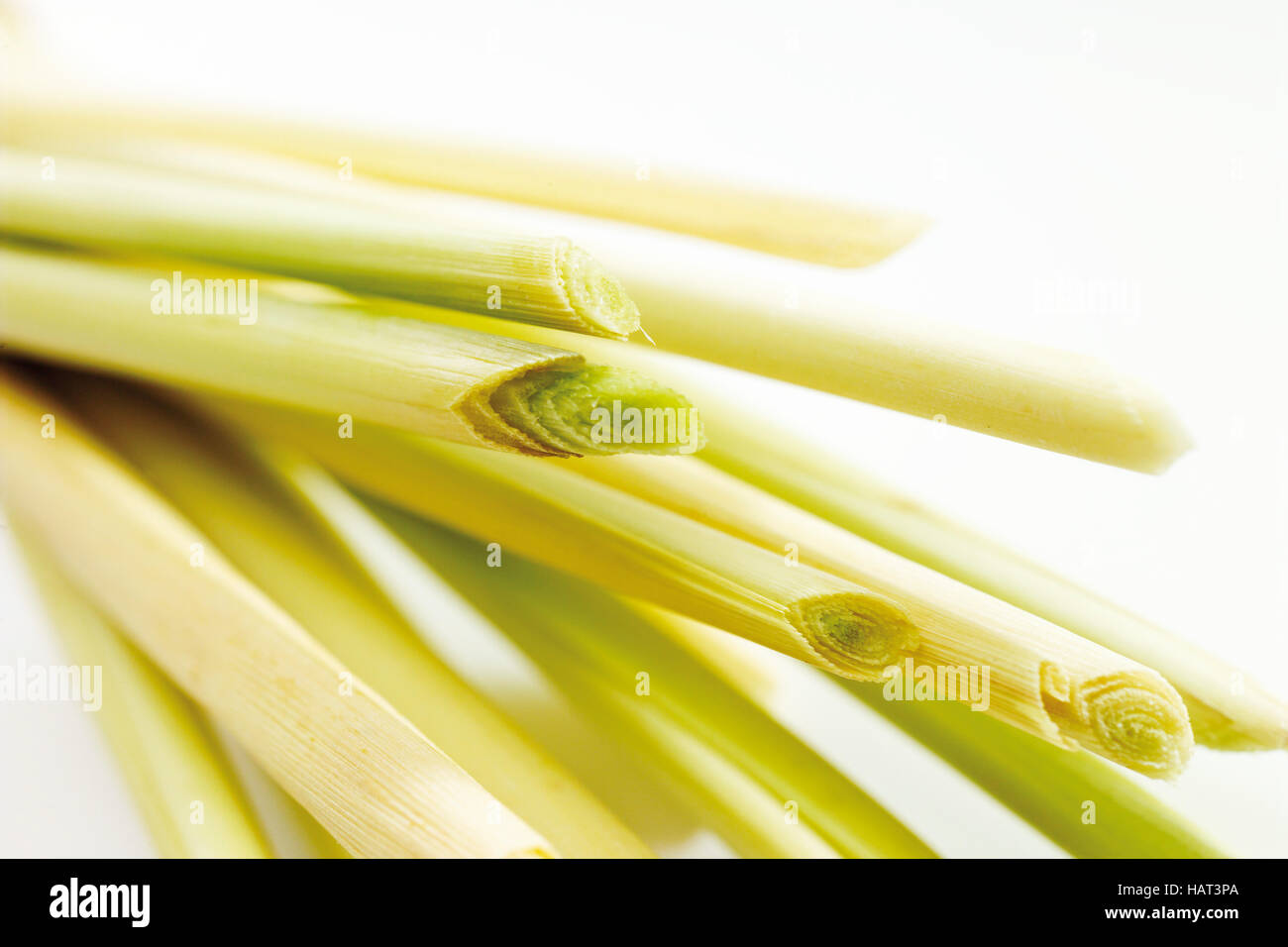 Lemongras (Cymbopogon spec Stock Photo - Alamy