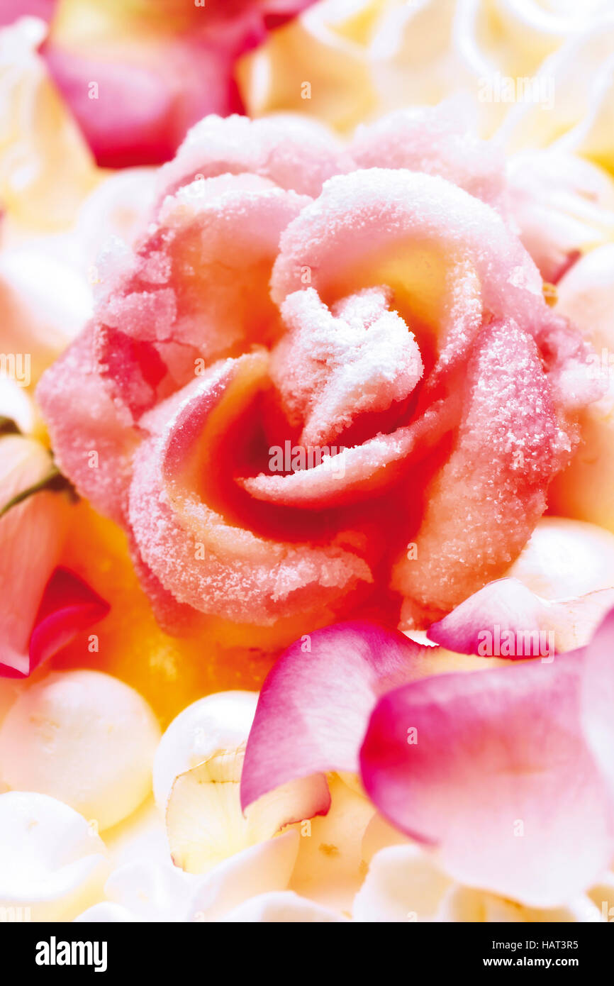 Sugar coated roses Stock Photo - Alamy