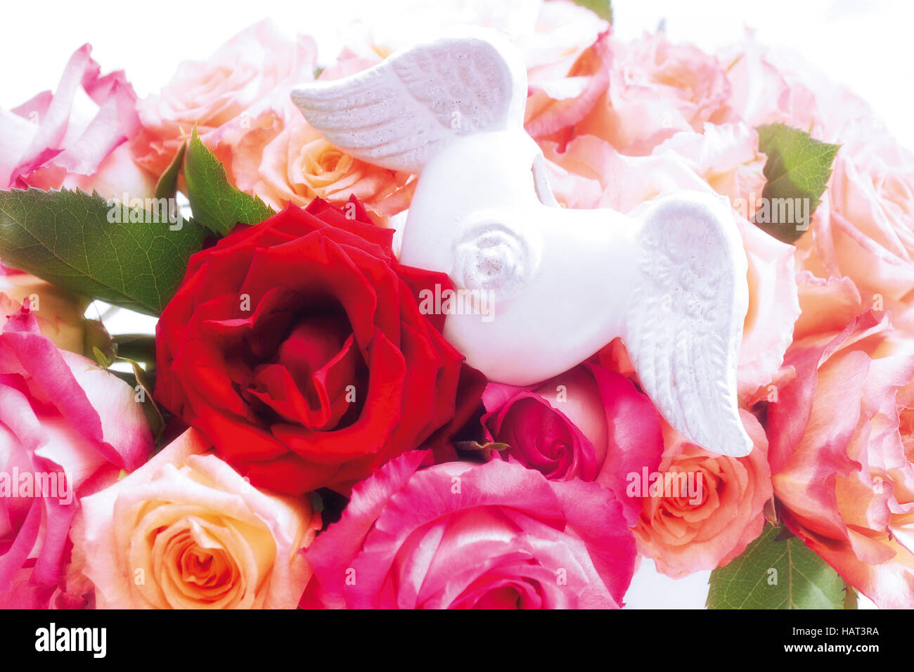 Winged heart in a bunch of roses Stock Photo - Alamy