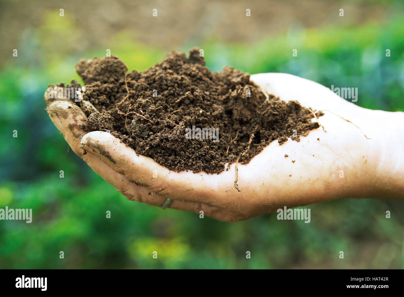 Gardeners hand holding clump soil hi-res stock photography and images ...