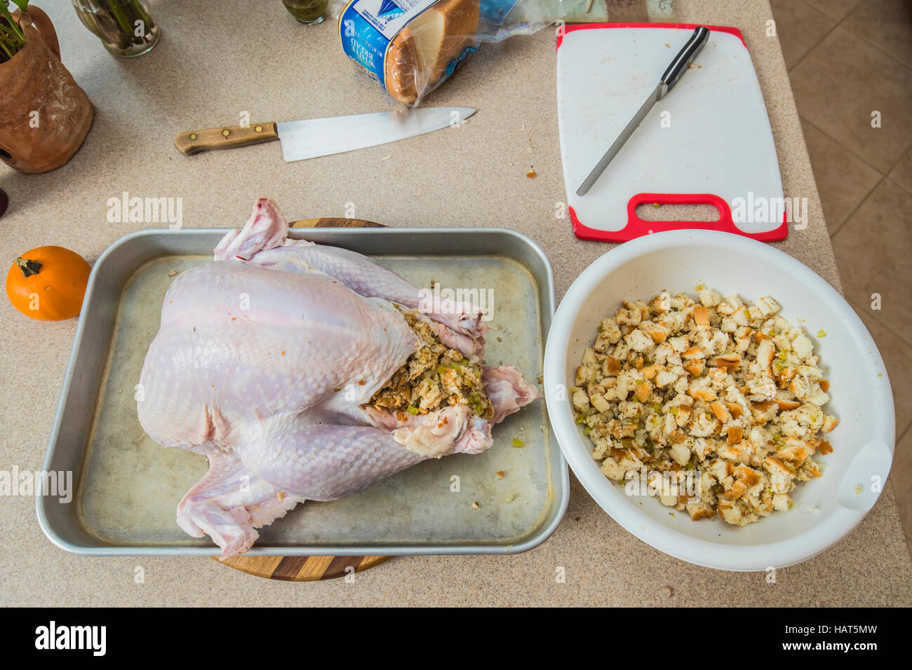 turkey and stuffing for thanksgiving Stock Photo - Alamy