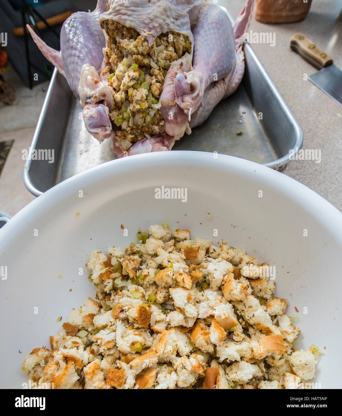 turkey and stuffing for thanksgiving Stock Photo - Alamy