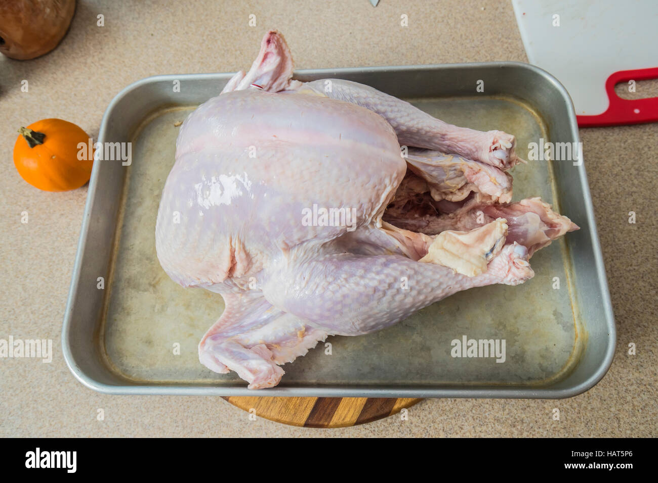 turkey ready for stuffing for thanksgiving Stock Photo - Alamy