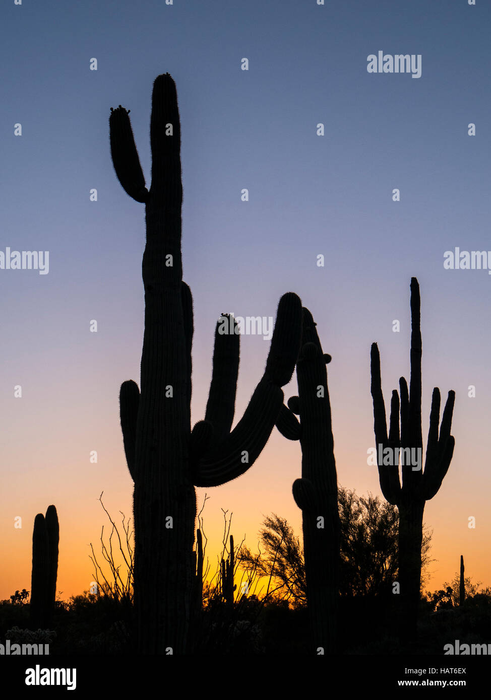 Apache junction az usa hi-res stock photography and images - Alamy