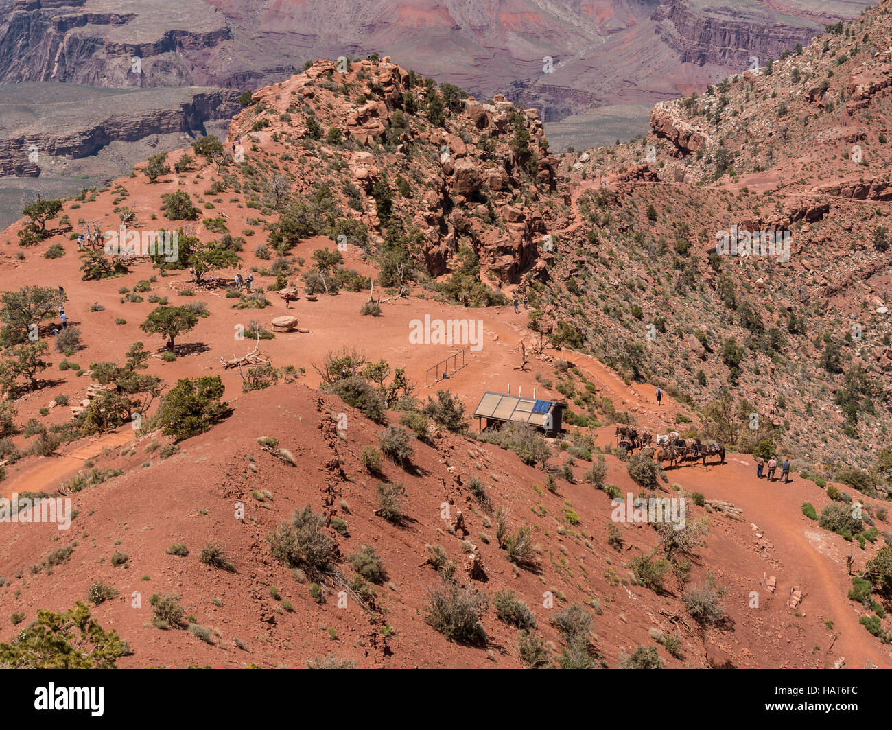 Looking down on Cedar Ridge, South Kaibab Trail, Grand Canyon South Rim ...