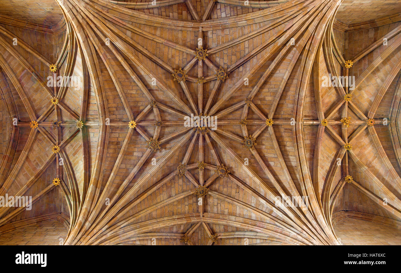 Gothic ceiling hi-res stock photography and images - Alamy