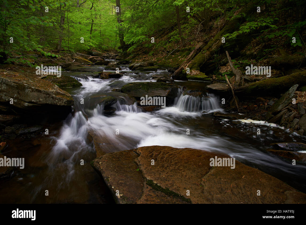 Sullivan Run in Spring in Sullivan County, Pennsylvania Stock Photo - Alamy