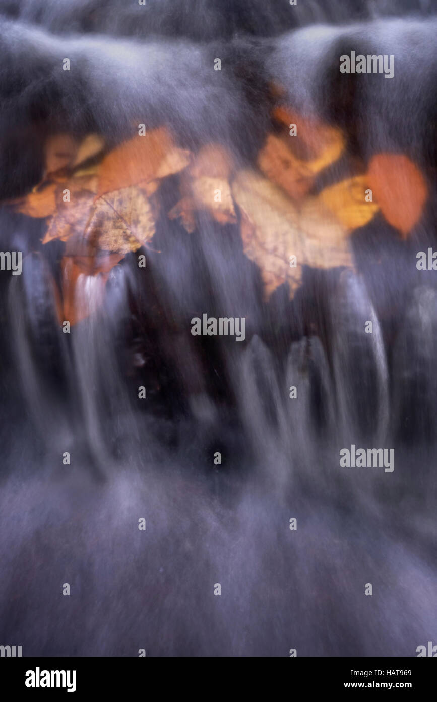 Autumn Leaves and Cascade Stock Photo - Alamy