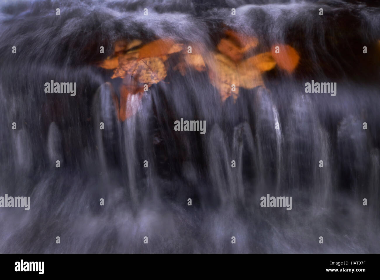 Autumn Leaves and Cascade Stock Photo - Alamy