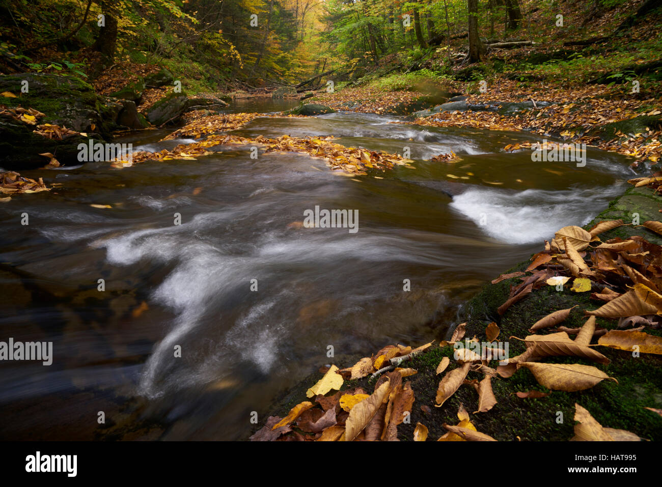 Autumn view of Sullivan Run during spring in Sullivan County ...