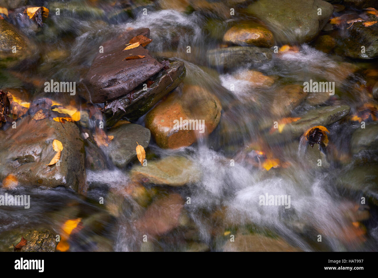 Leaves and cascading water in Sullivan Run during spring in Sullivan ...
