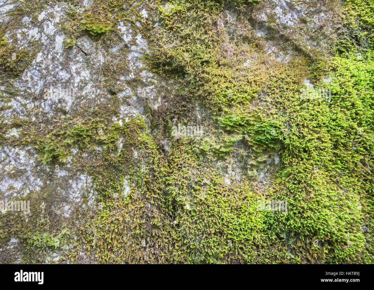 Rock detail hi-res stock photography and images - Alamy